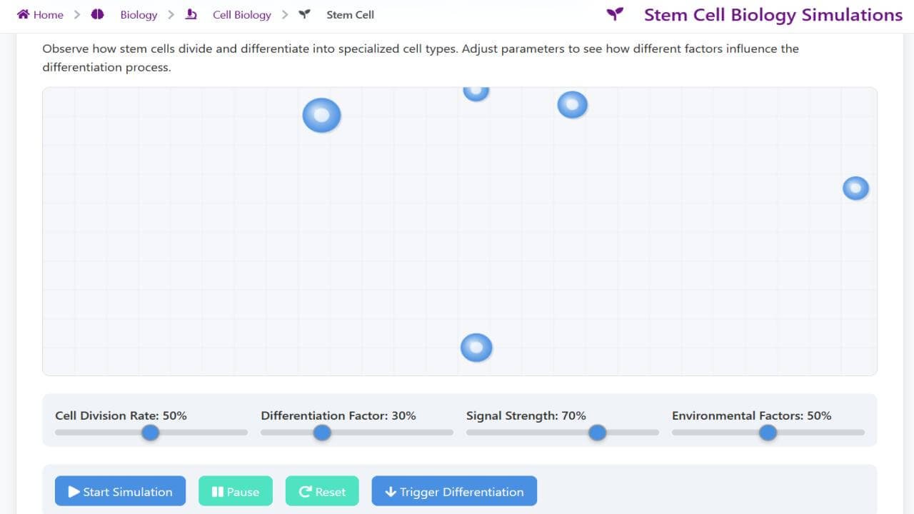 Stem Cell - BinaryVisual | Cell Biology